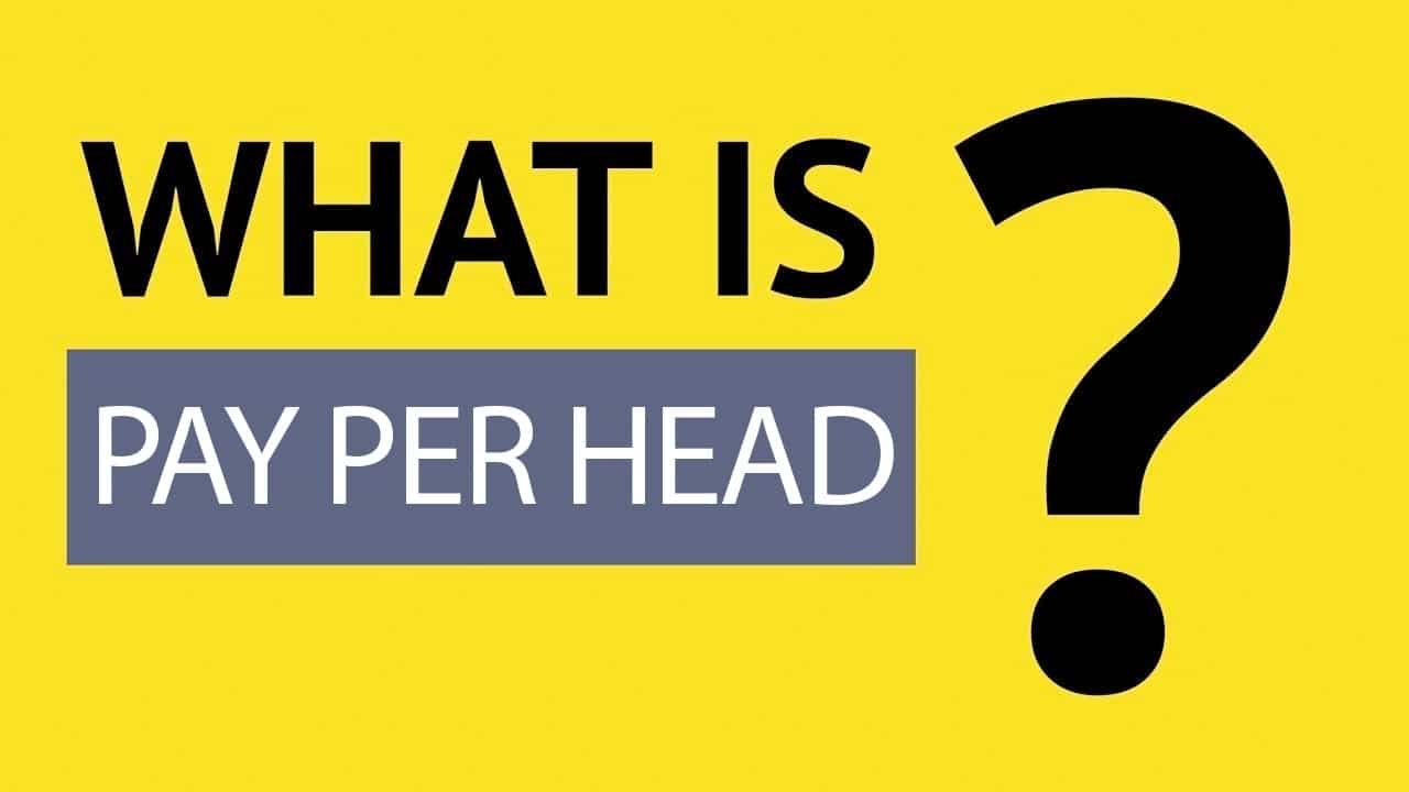 What is Pay Per Head?